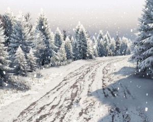 Ice Path Map v1.0 - Snowrunner / Mudrunner Mod
